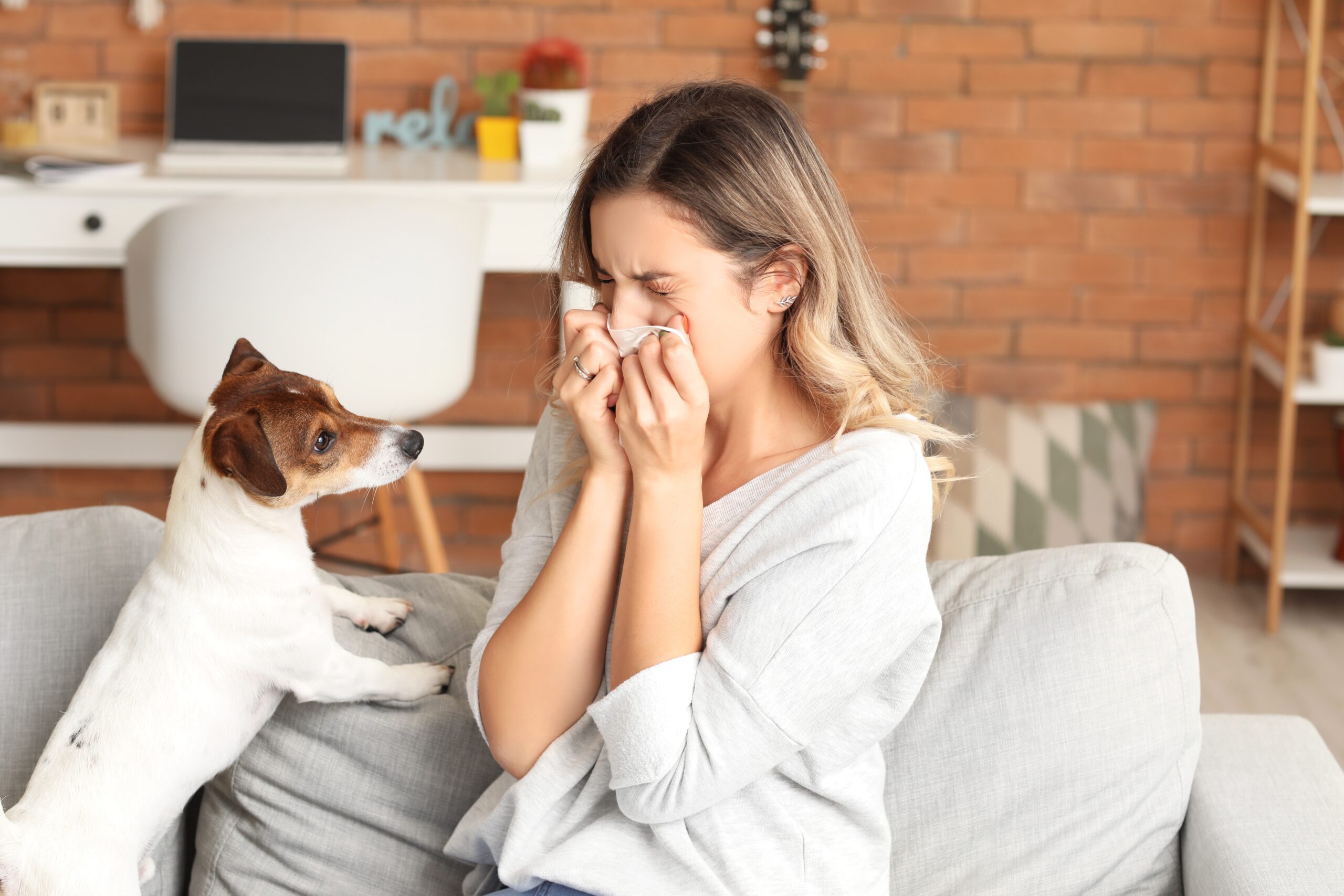 Identifying and Managing Allergy Triggers in Your Home - Penn Medicine ...