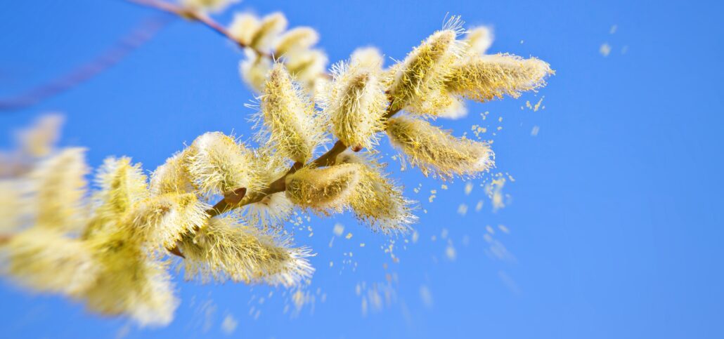 Sinus Headaches Treatment | Becker ENT & Allergy NJ & PA