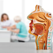 Turbinate Reduction in NJ & PA | Becker ENT & Allergy