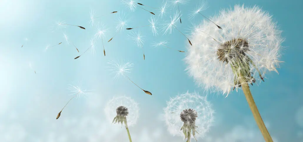 Turbinate Reduction in NJ & PA | Becker ENT & Allergy